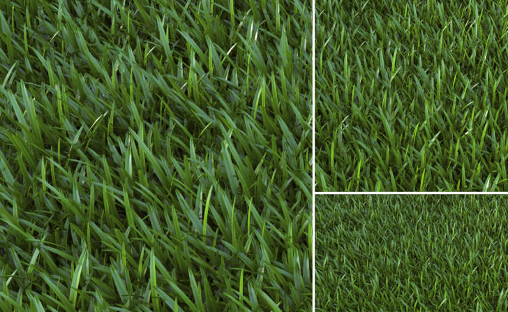 sketchup-v-ray-proxy-grass-preview - Ronen Bekerman - 3D Architectural ... sketchup-v-ray-proxy-grass-preview - Ronen Bekerman - 3D Architectural ...