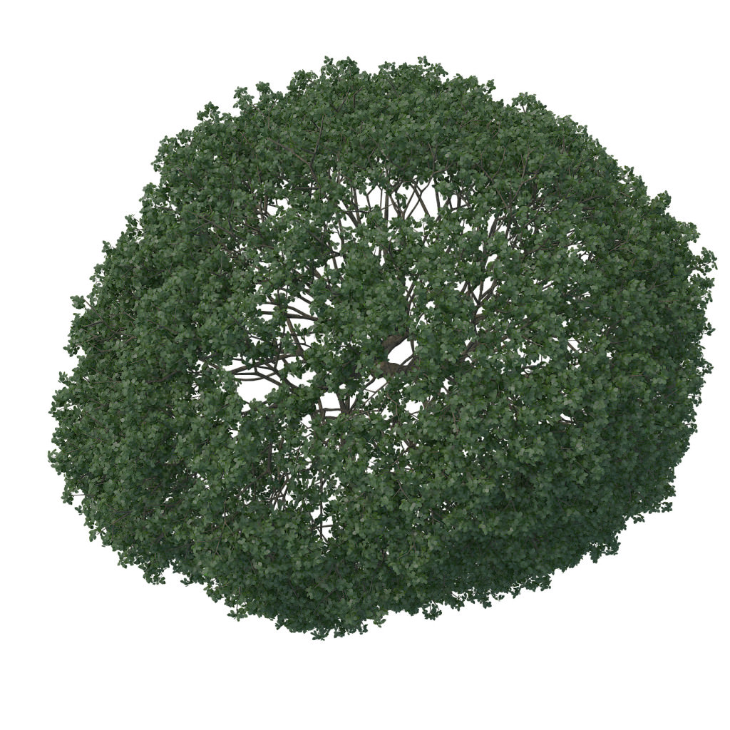 Tree_top_v2 - Ronen Bekerman - 3D Architectural Visualization ...