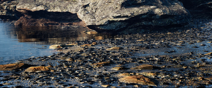 Unreal Engine 4 Tastings by Koola - 3D Architectural Visualization & Rendering Blog