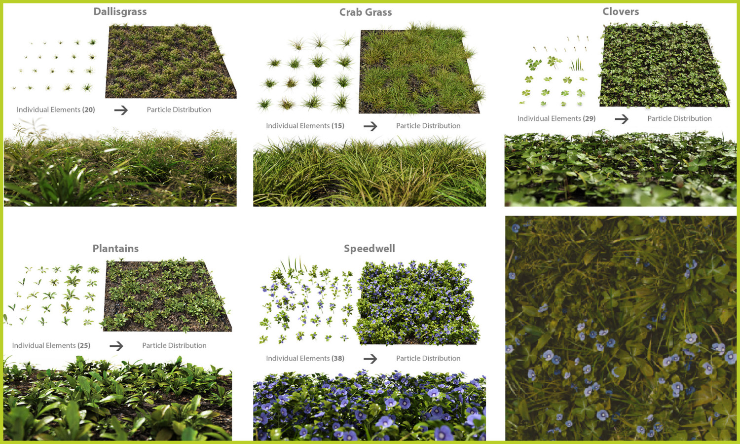 vertical-garden-grass-species - Ronen Bekerman - 3D Architectural ...