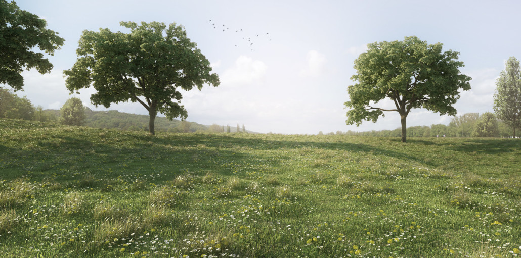 Meadow 1.0 - Ronen Bekerman - 3D Architectural Visualization ...