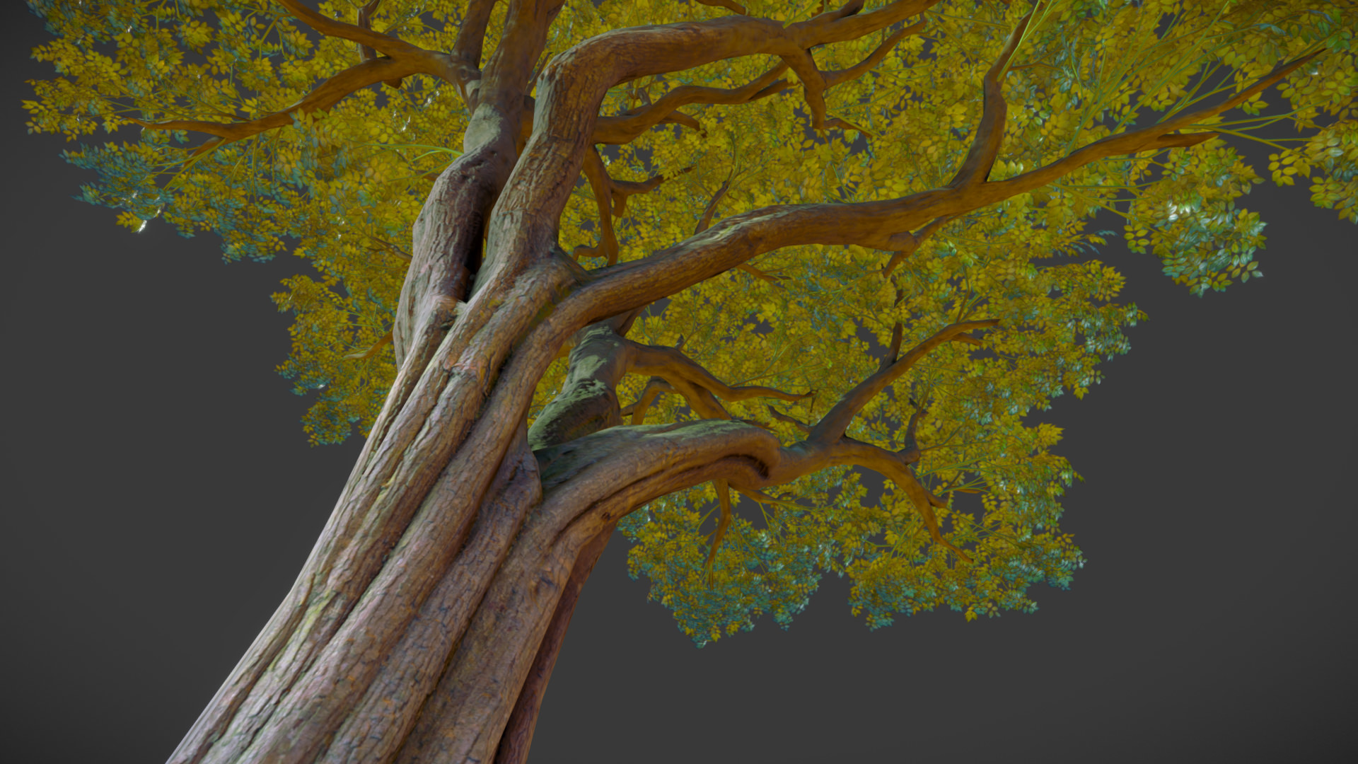 How to PhotogrammeTREE - 3D Architectural Visualization & Rendering Blog