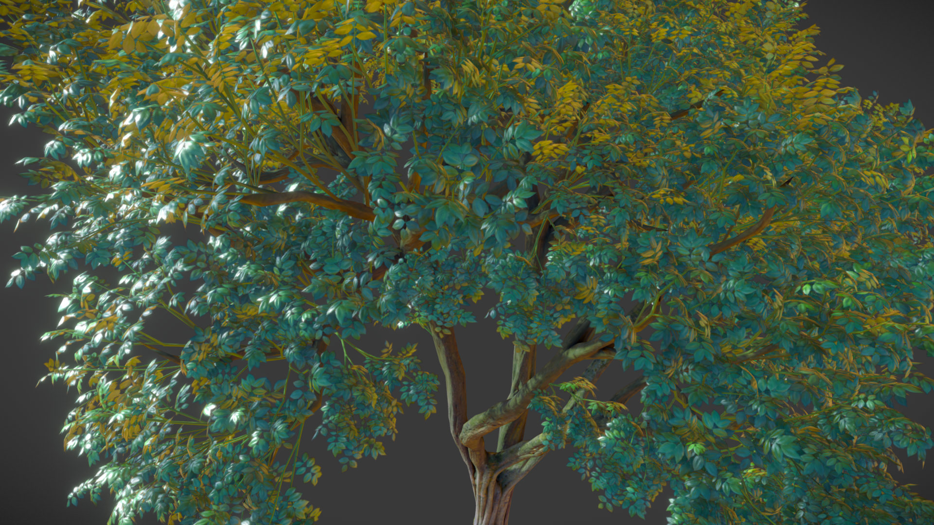 how-to-photogrammetry-tree-05 - Ronen Bekerman - 3D Architectural Visualization & Rendering Blog