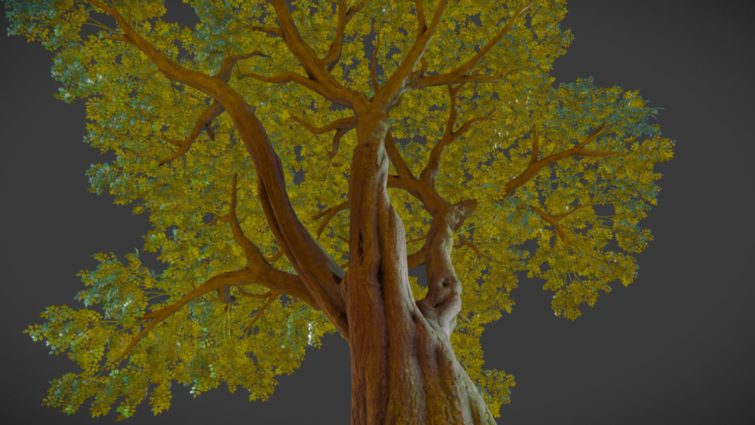 how-to-photogrammetry-tree-06 - Ronen Bekerman - 3D Architectural Visualization & Rendering Blog