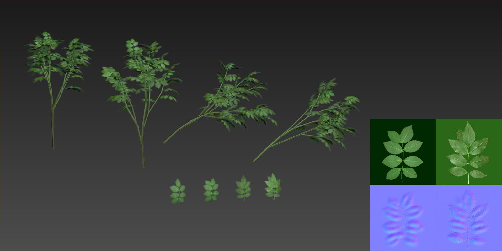 how-to-photogrammetry-tree-12 - Ronen Bekerman - 3D Architectural ...