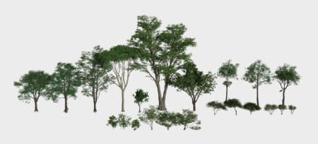 Making Of Tree House Constantia - 3D Architectural Visualization ...